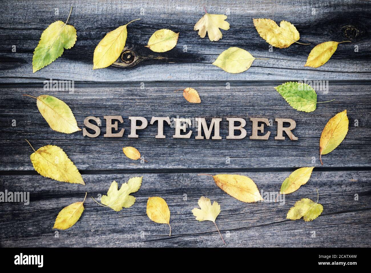 Word September, wooden letters. Frame of yellow leaves, wooden ...