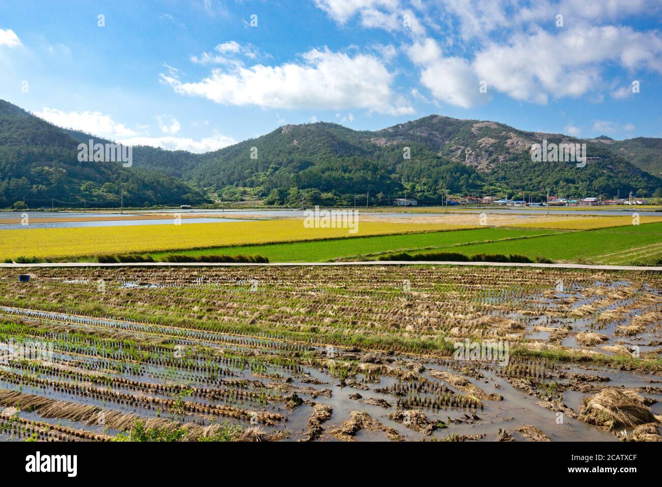 The village agriculture in South Korea Stock Photo - Alamy