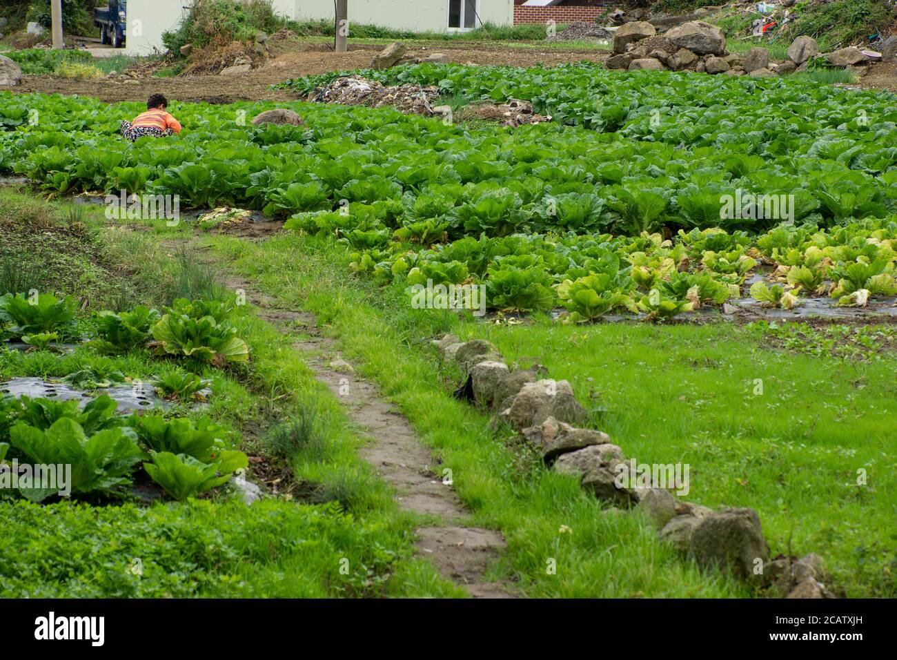 The village agriculture in South Korea Stock Photo - Alamy