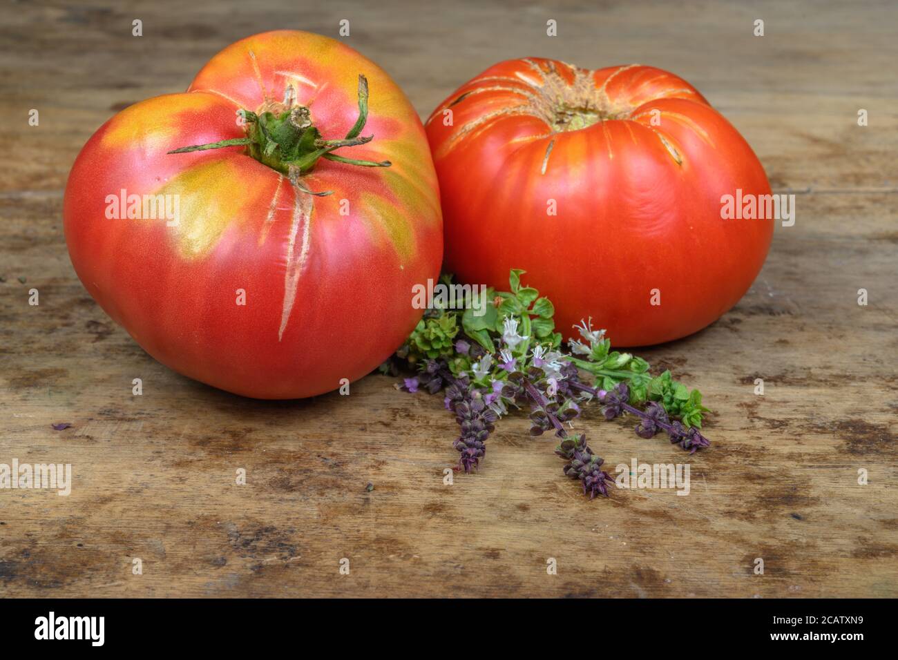 Ancient tomatoes variety and aromatic herbs on old wooden background in ...