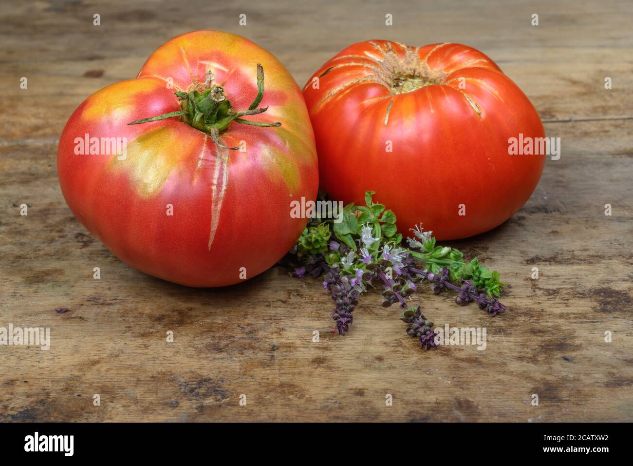 Ancient tomatoes variety and aromatic herbs on old wooden background in ...