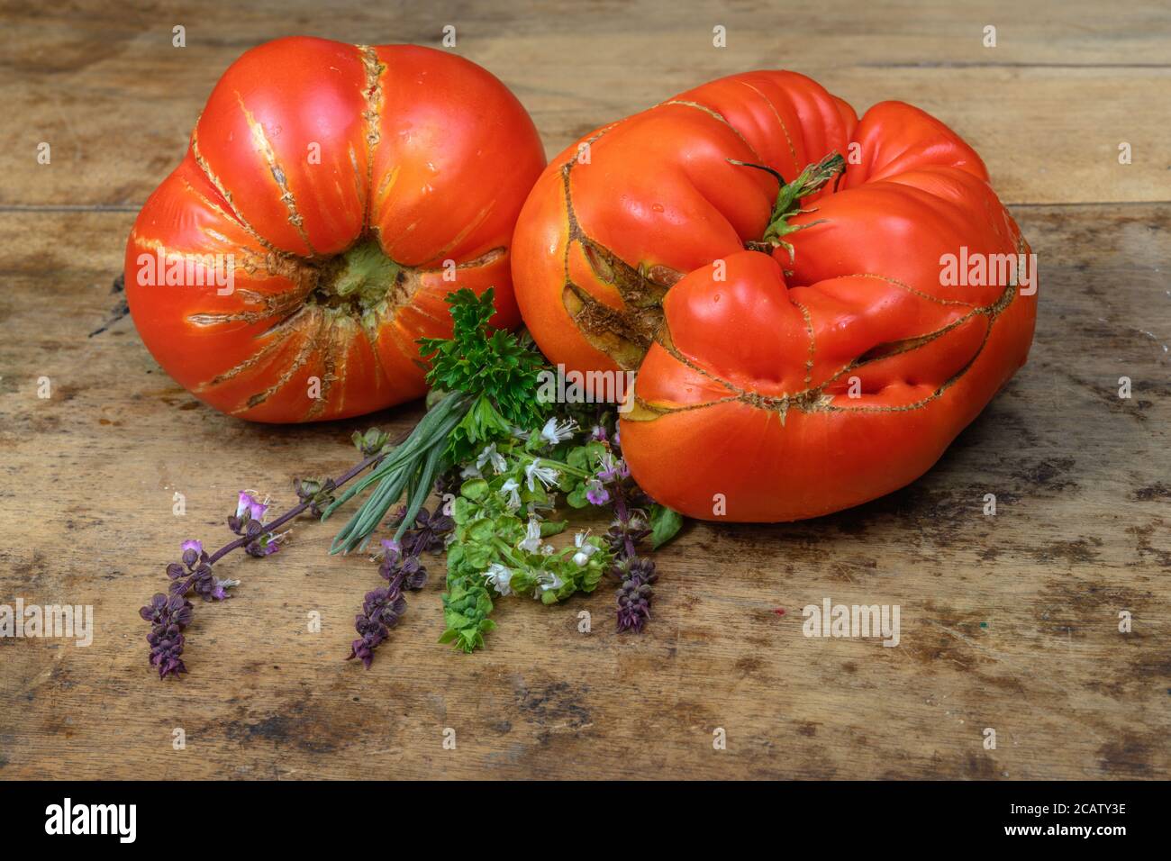 Ancient tomatoes variety and aromatic herbs on old wooden background in ...