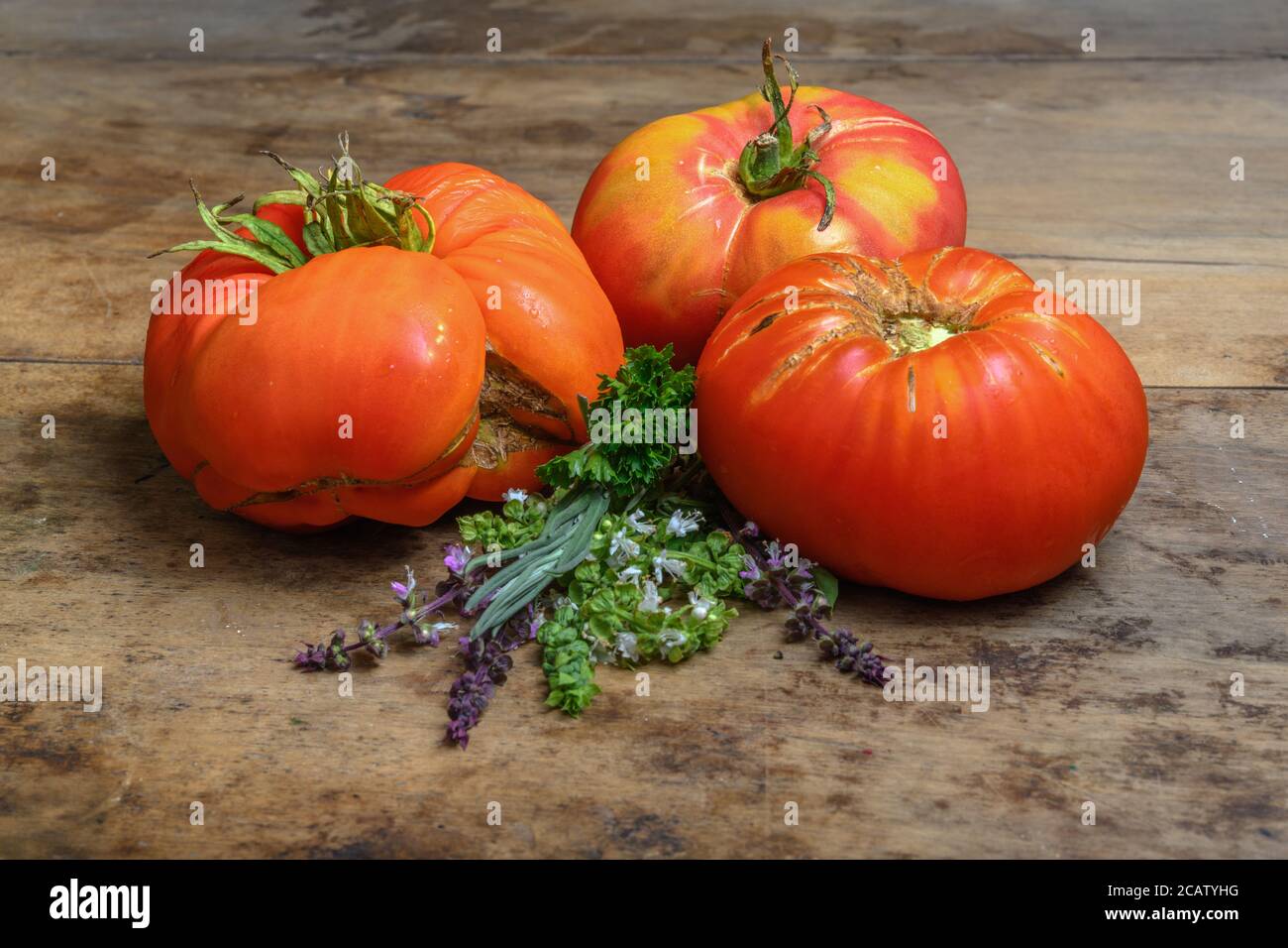 Ancient tomatoes variety and aromatic herbs on old wooden background in ...
