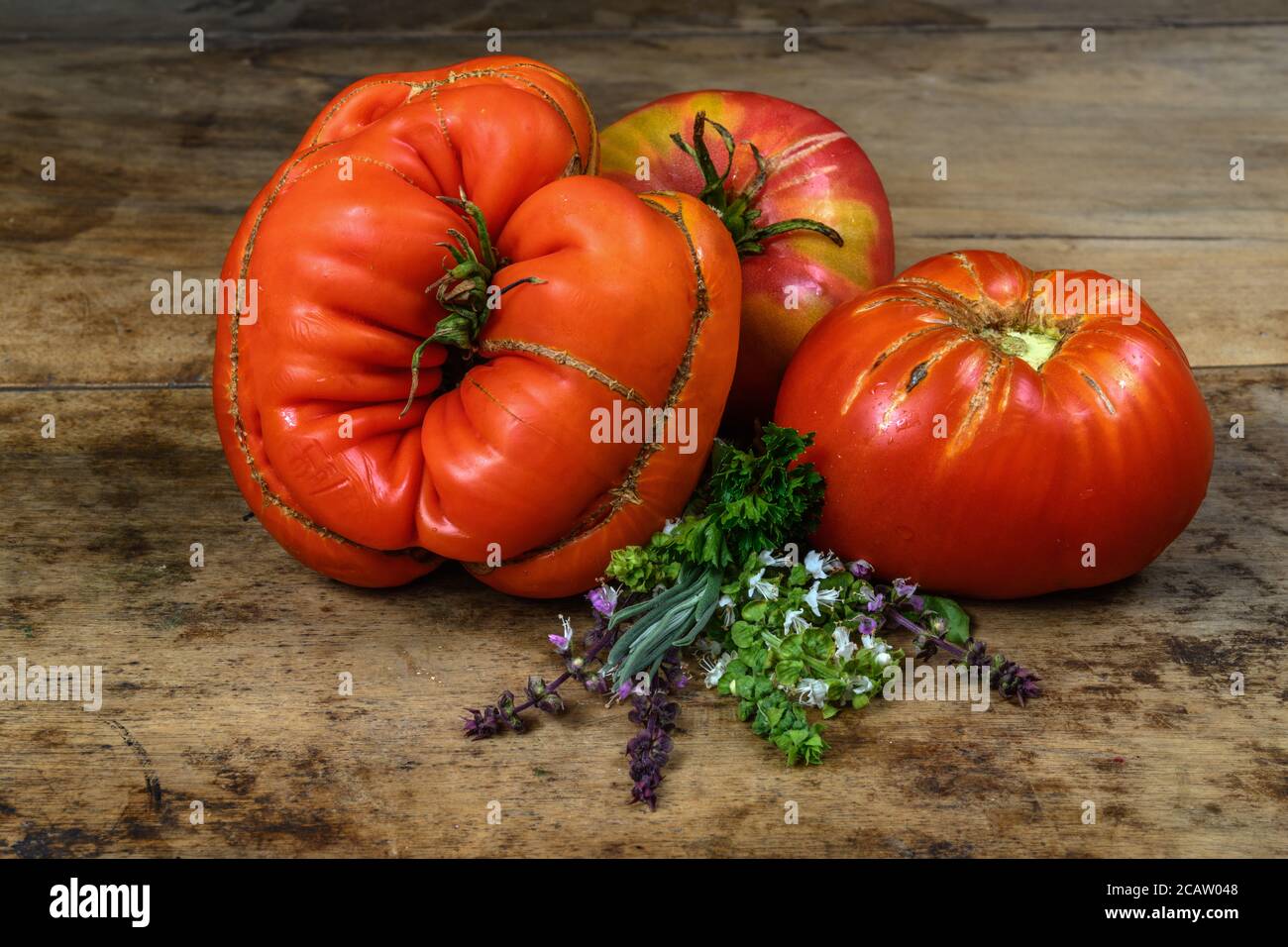 Ancient tomatoes variety and aromatic herbs on old wooden background in ...