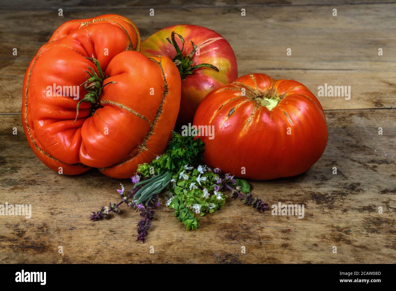 Ancient tomatoes variety and aromatic herbs on old wooden background in ...