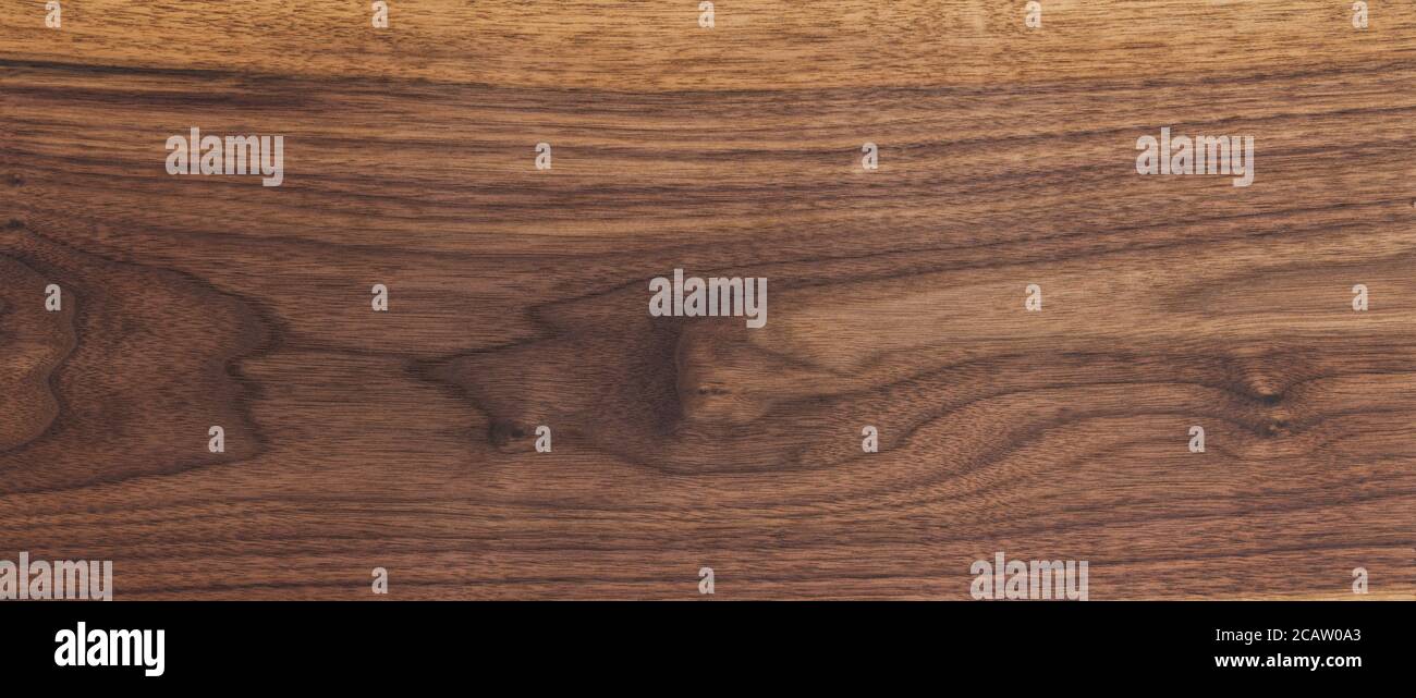 Walnut Wood Vector