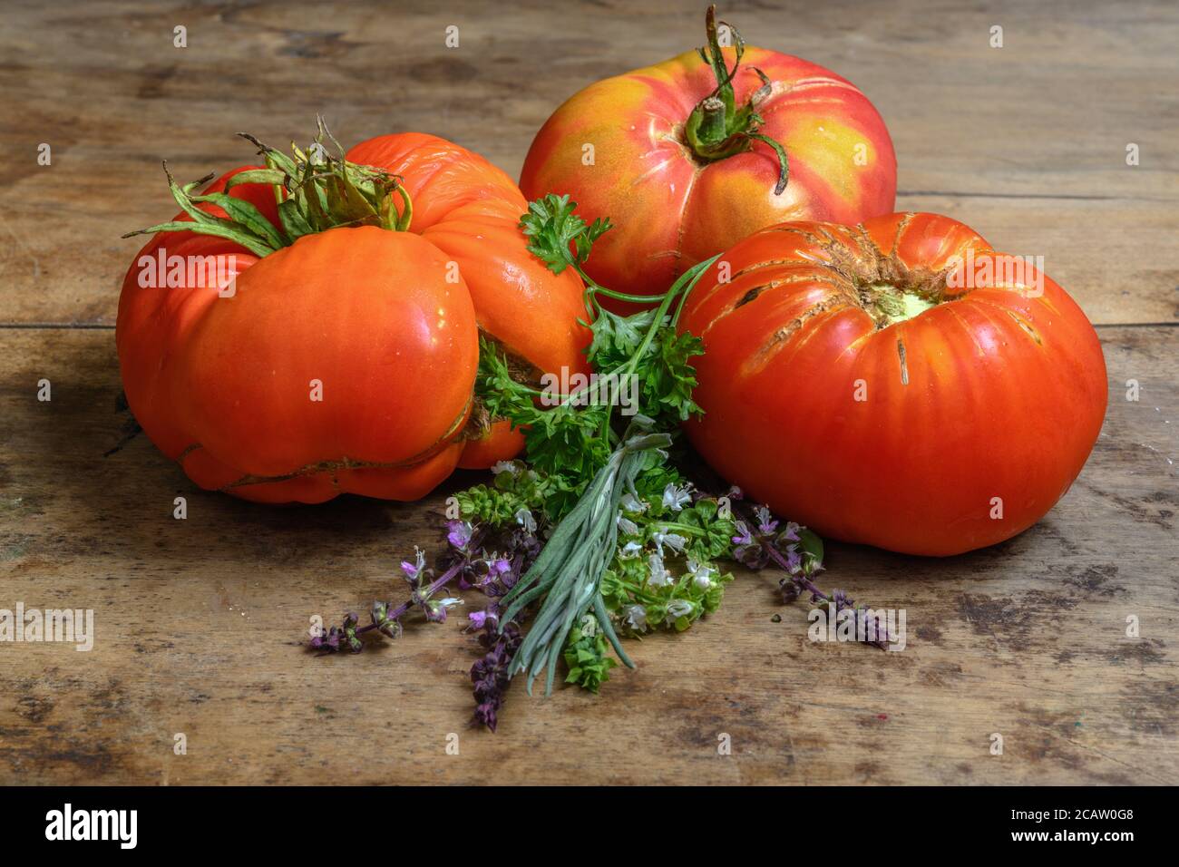 Ancient tomatoes variety and aromatic herbs on old wooden background in ...