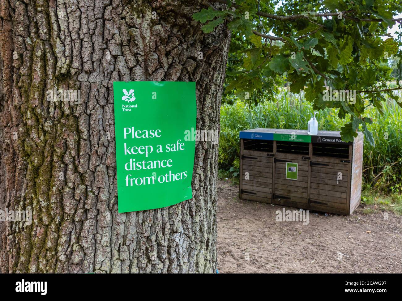 A green National Trust social distancing sign on a tree at Frensham ...