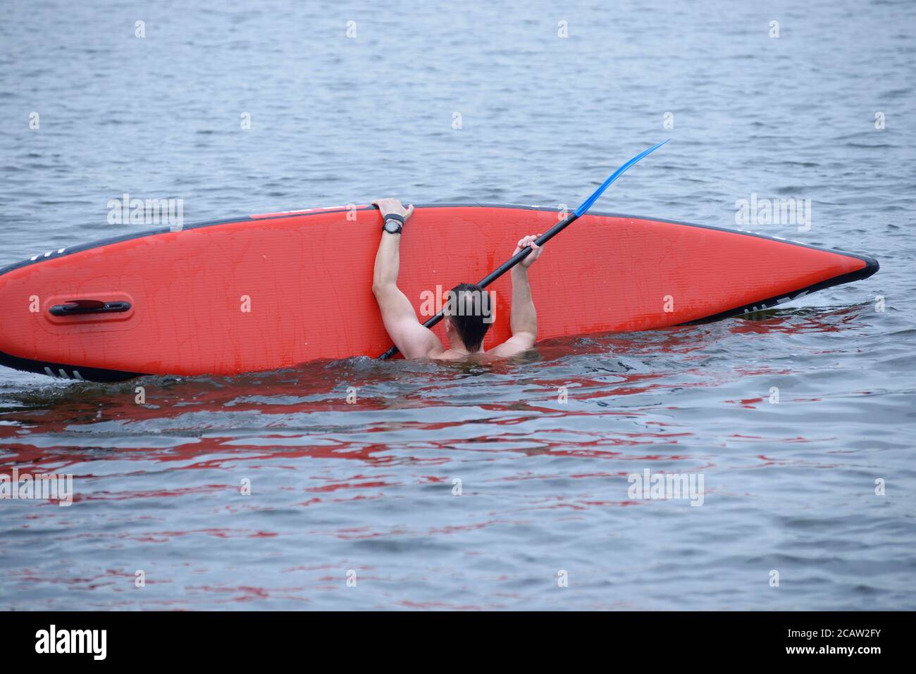 Man with a paddle in a hand trying to get on SUP board after he fell ...