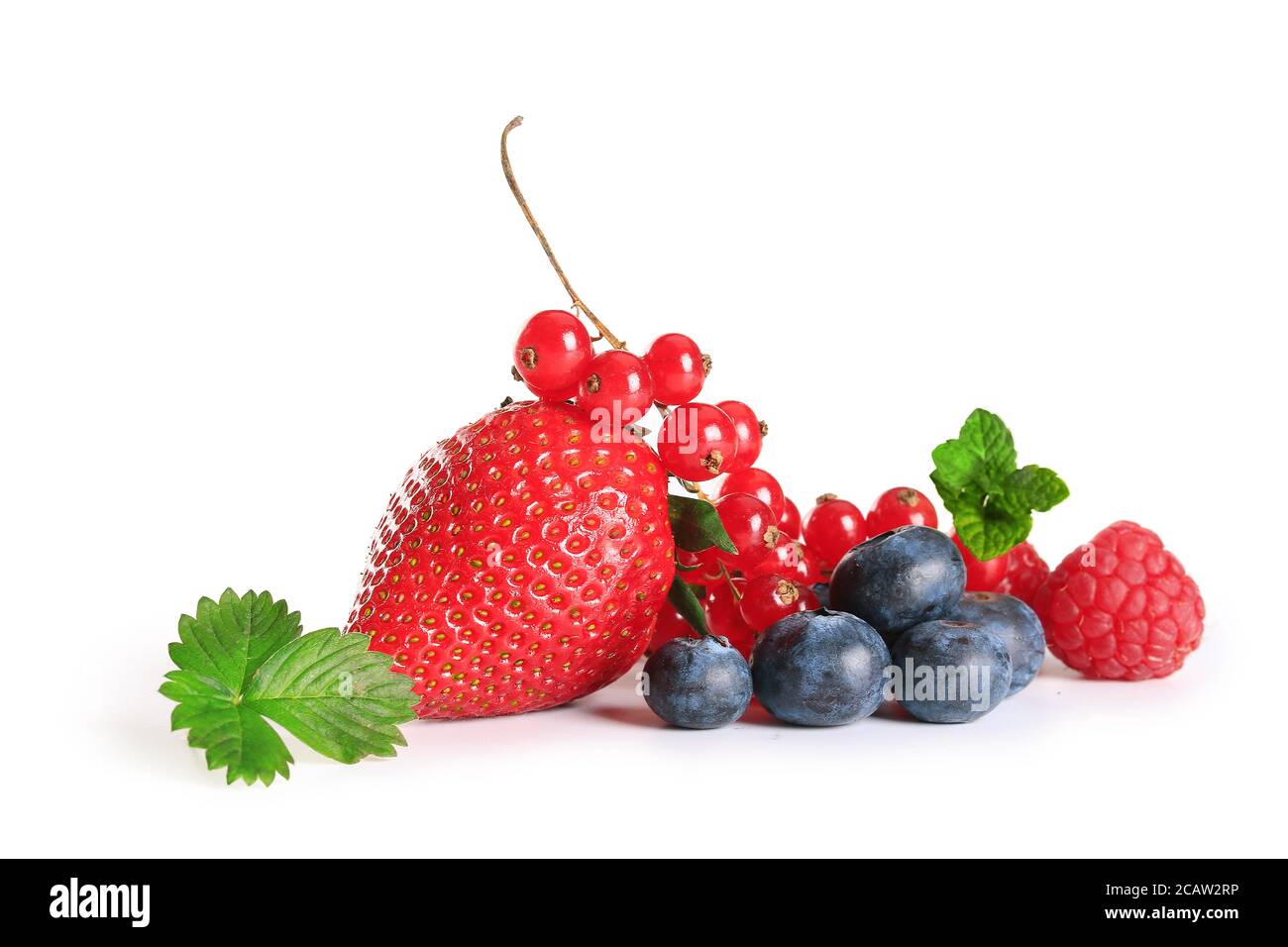 red berries on white background Stock Photo - Alamy