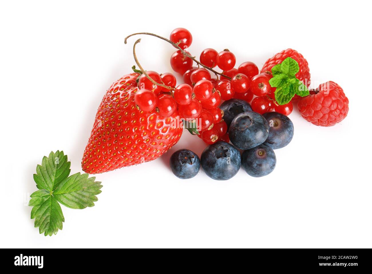 red berries on white background Stock Photo - Alamy