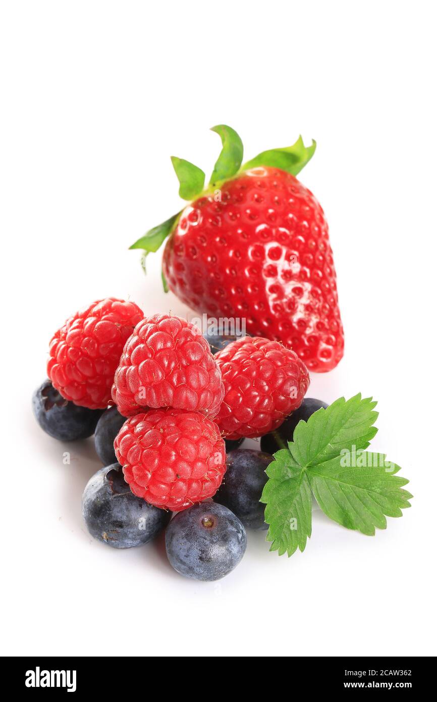 red berries on white background Stock Photo - Alamy