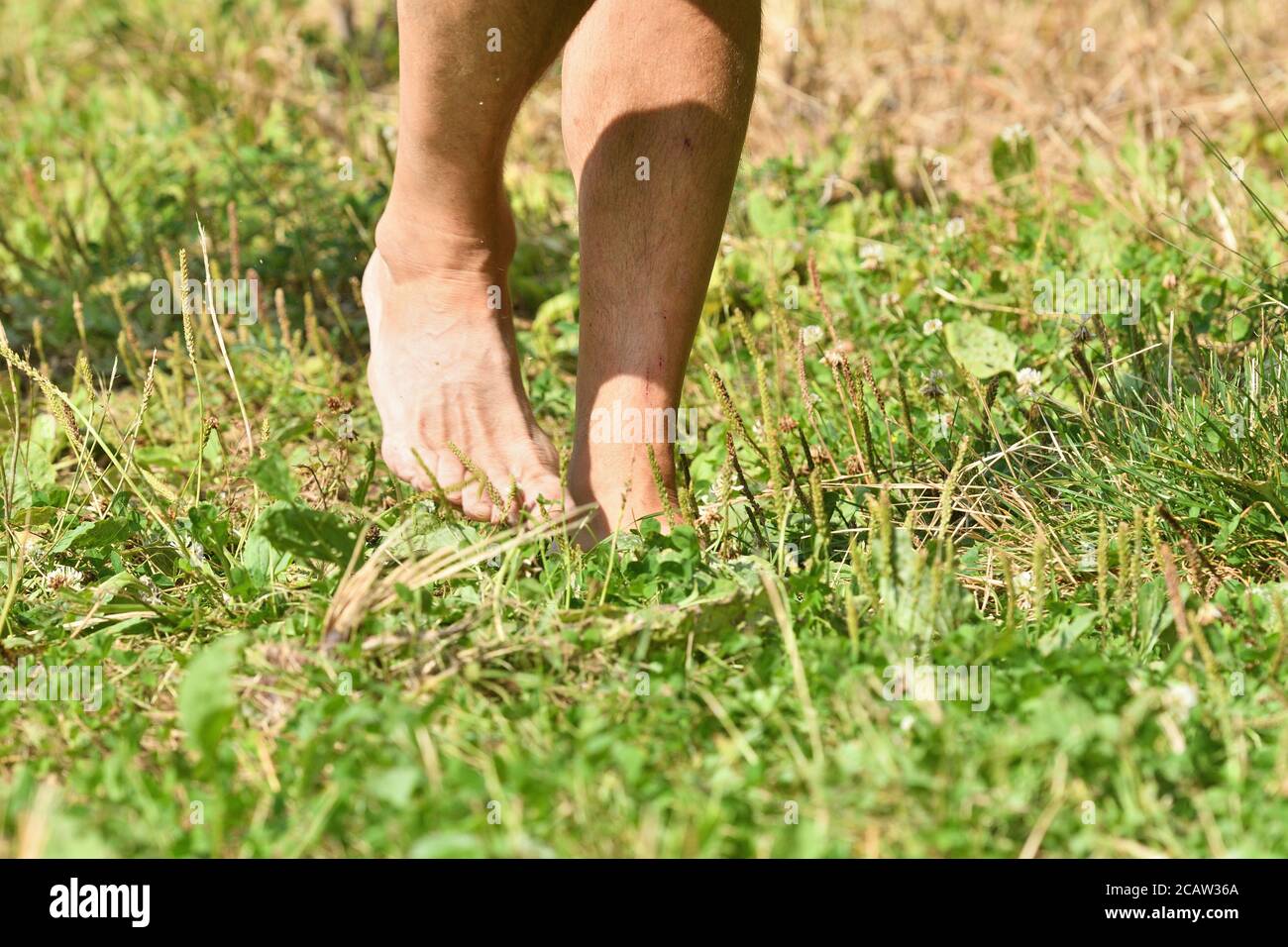 On the barefoot path in the forest hi-res stock photography and images ...