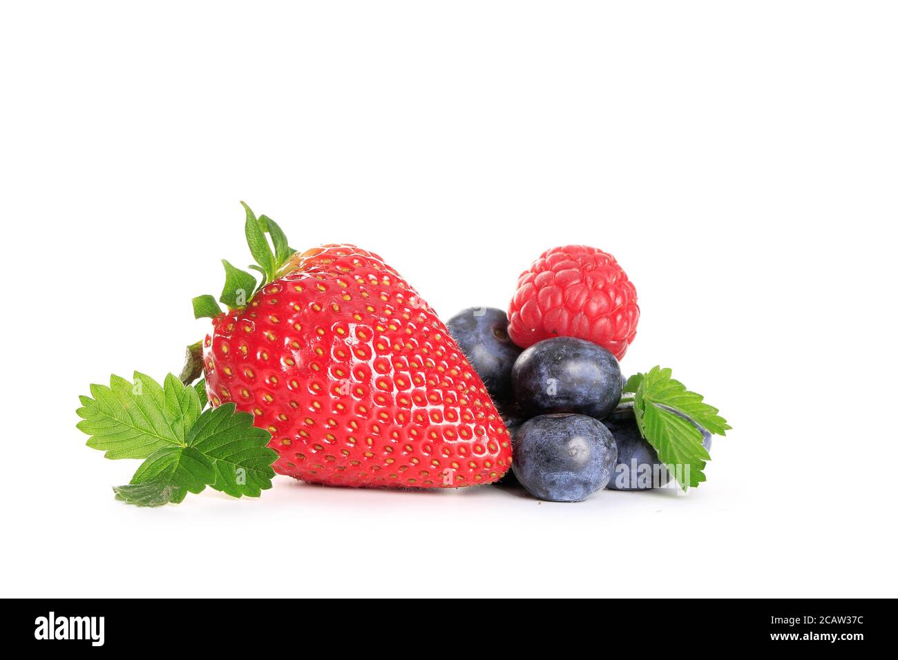 red berries on white background Stock Photo - Alamy