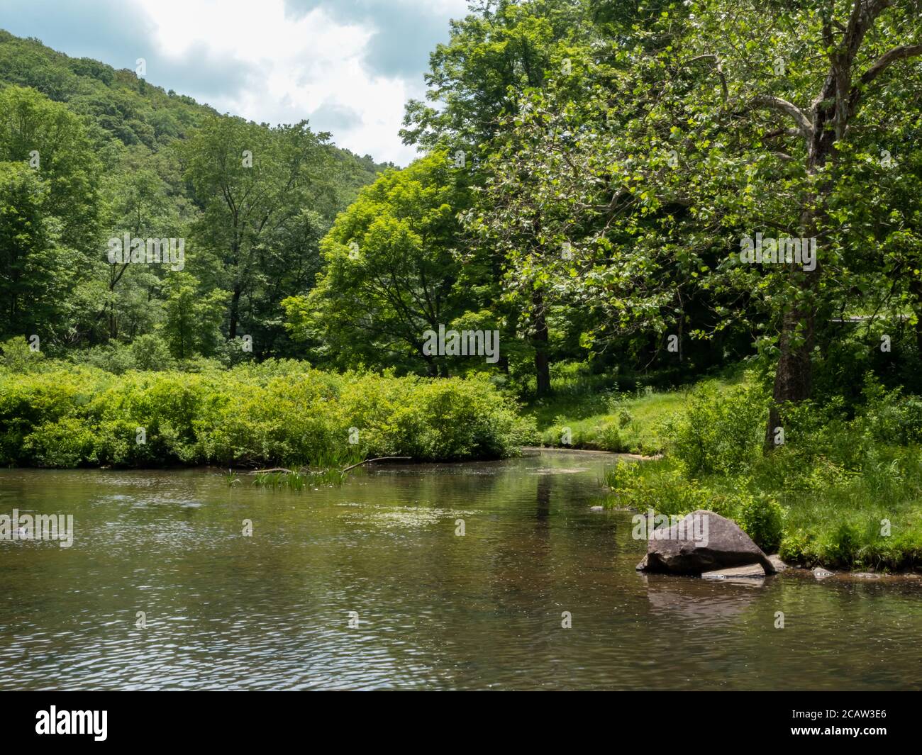 Beautiful view of a lake surrounded by trees Stock Photo - Alamy