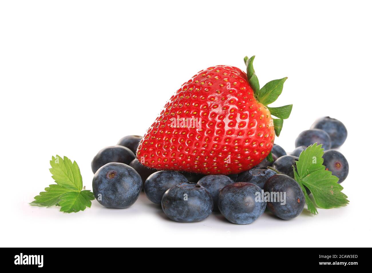 red berries on white background Stock Photo - Alamy