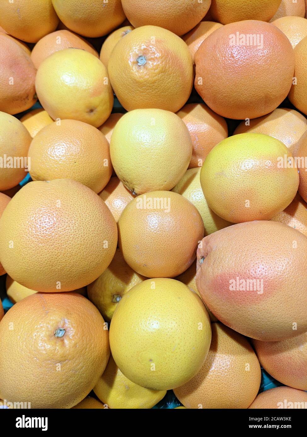 fresh grapefruits for sale under bright light in the supermarket Stock ...