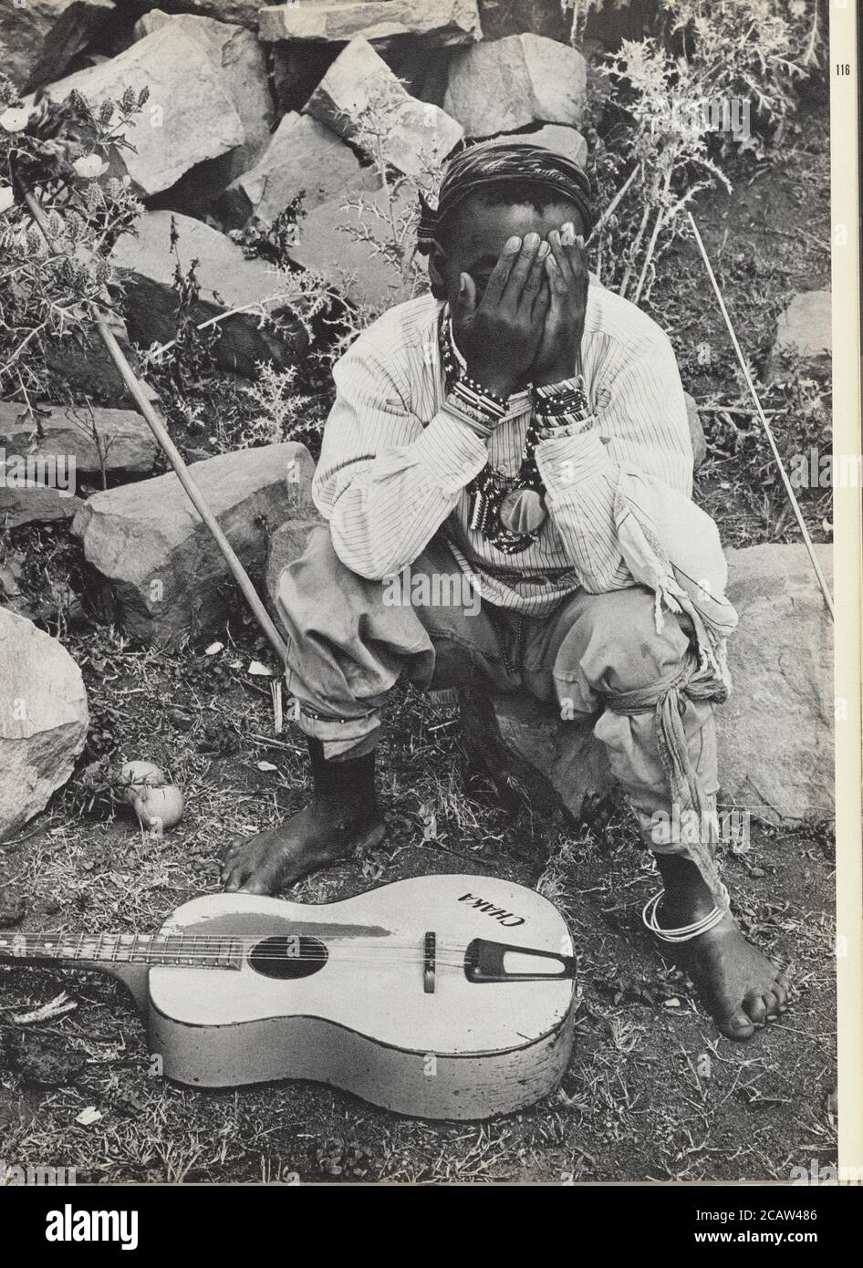 vintage animal illustration vintage classical artistic drawing Stock ...