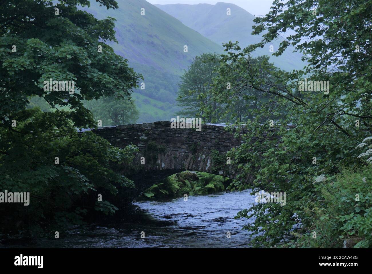 Cow Bridge High Resolution Stock Photography and Images - Alamy