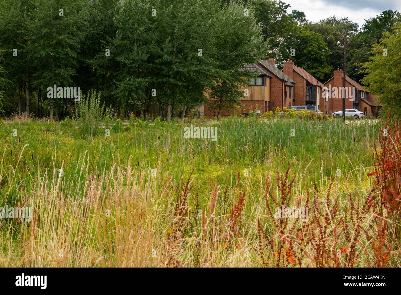 Swardeston hi-res stock photography and images - Alamy