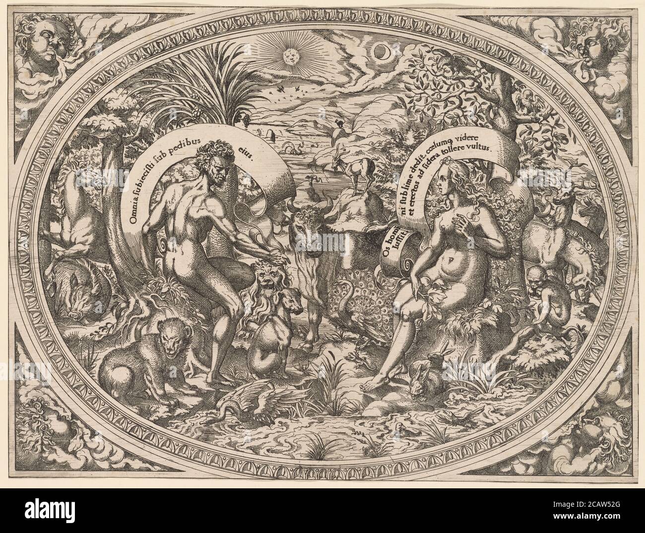vintage animal illustration vintage classical artistic drawing Stock ...