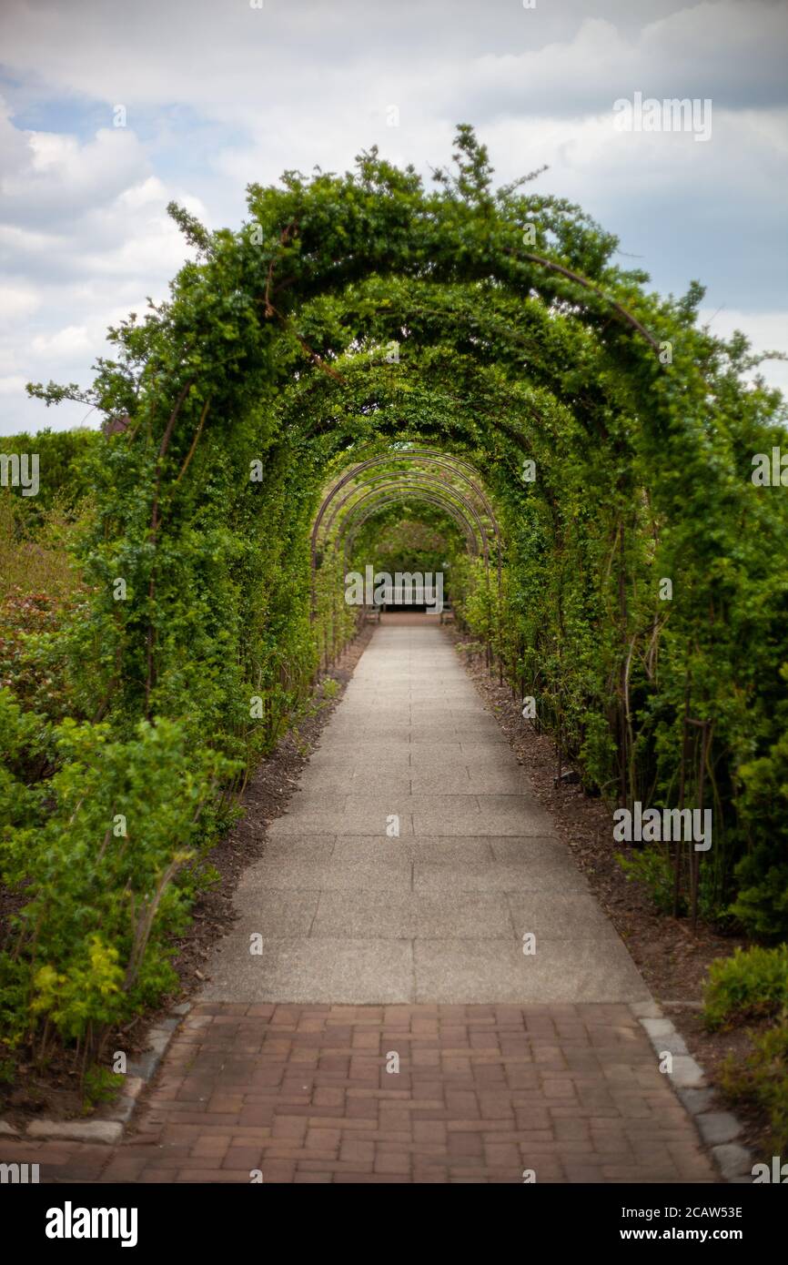 Vertical shot empty pathway hi-res stock photography and images - Alamy