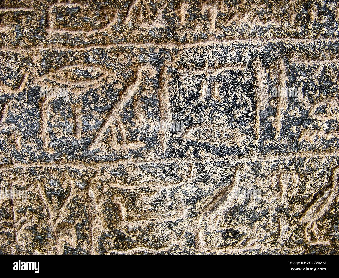 Egypt, Luxor, temple of Merenptah, cast of the stele of Merenptah : The ...