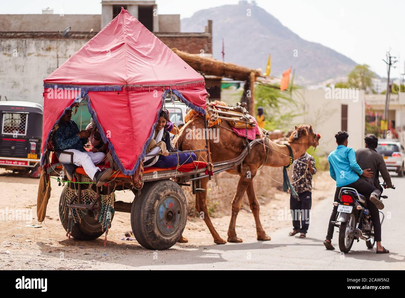 Pushkar / India - March 10, 2020: typical Rajasthani camel-drawn ...