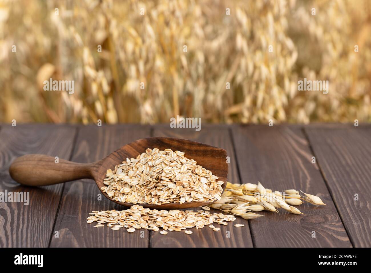 Oat farm hi-res stock photography and images - Alamy
