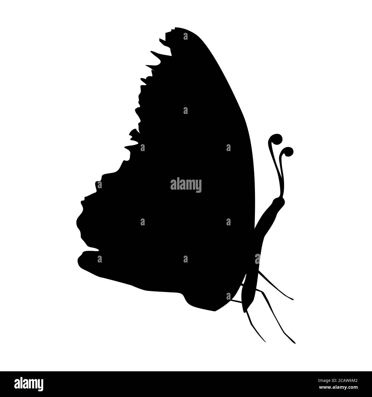 Silhouette of a butterfly Cut Out Stock Images & Pictures - Alamy