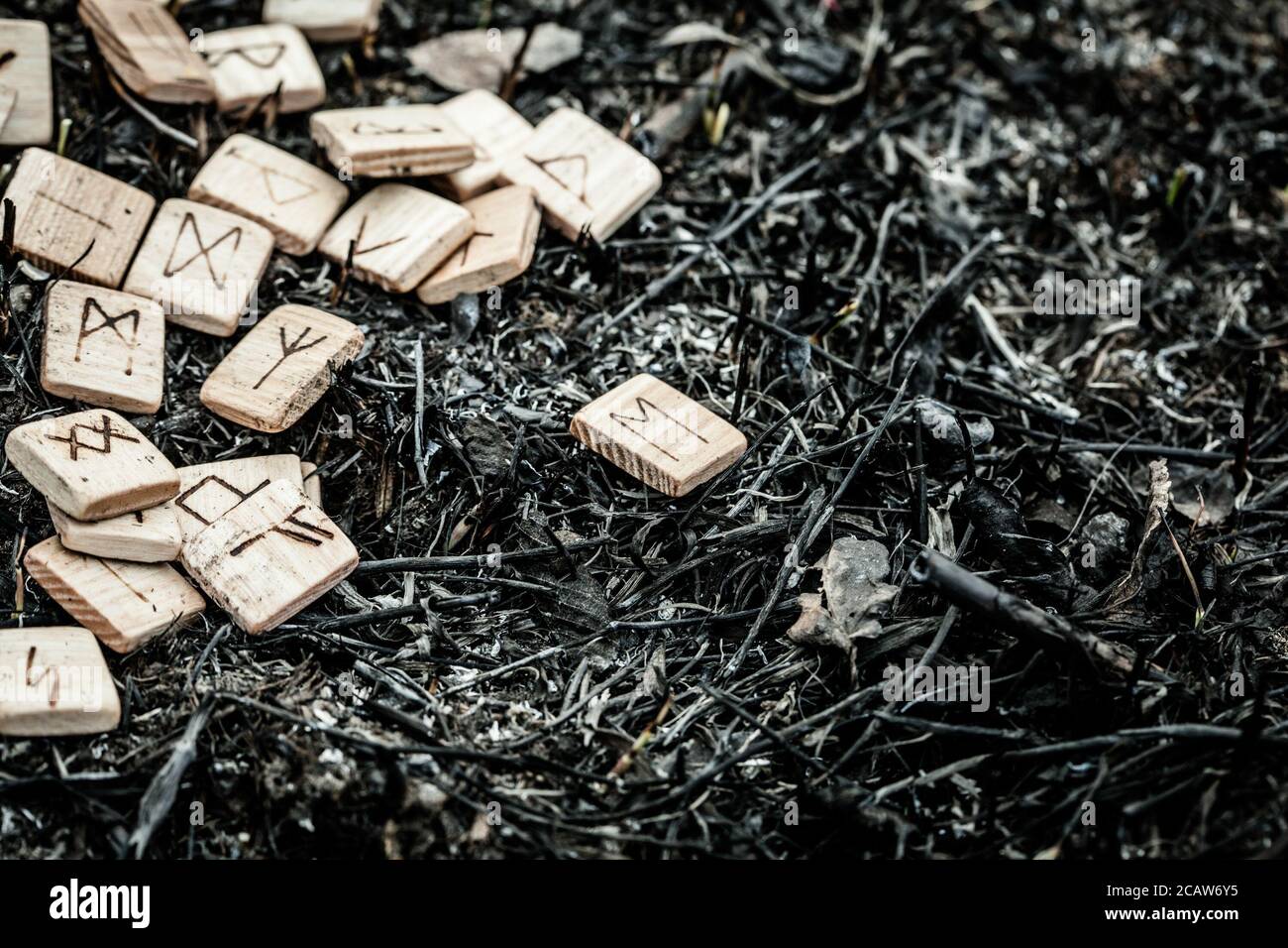 Ancient augury hi-res stock photography and images - Alamy