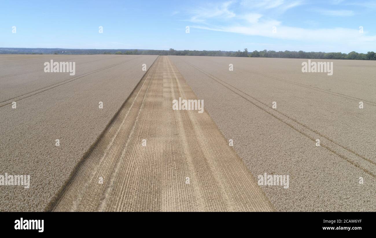 Harvest crops fields hi-res stock photography and images - Alamy