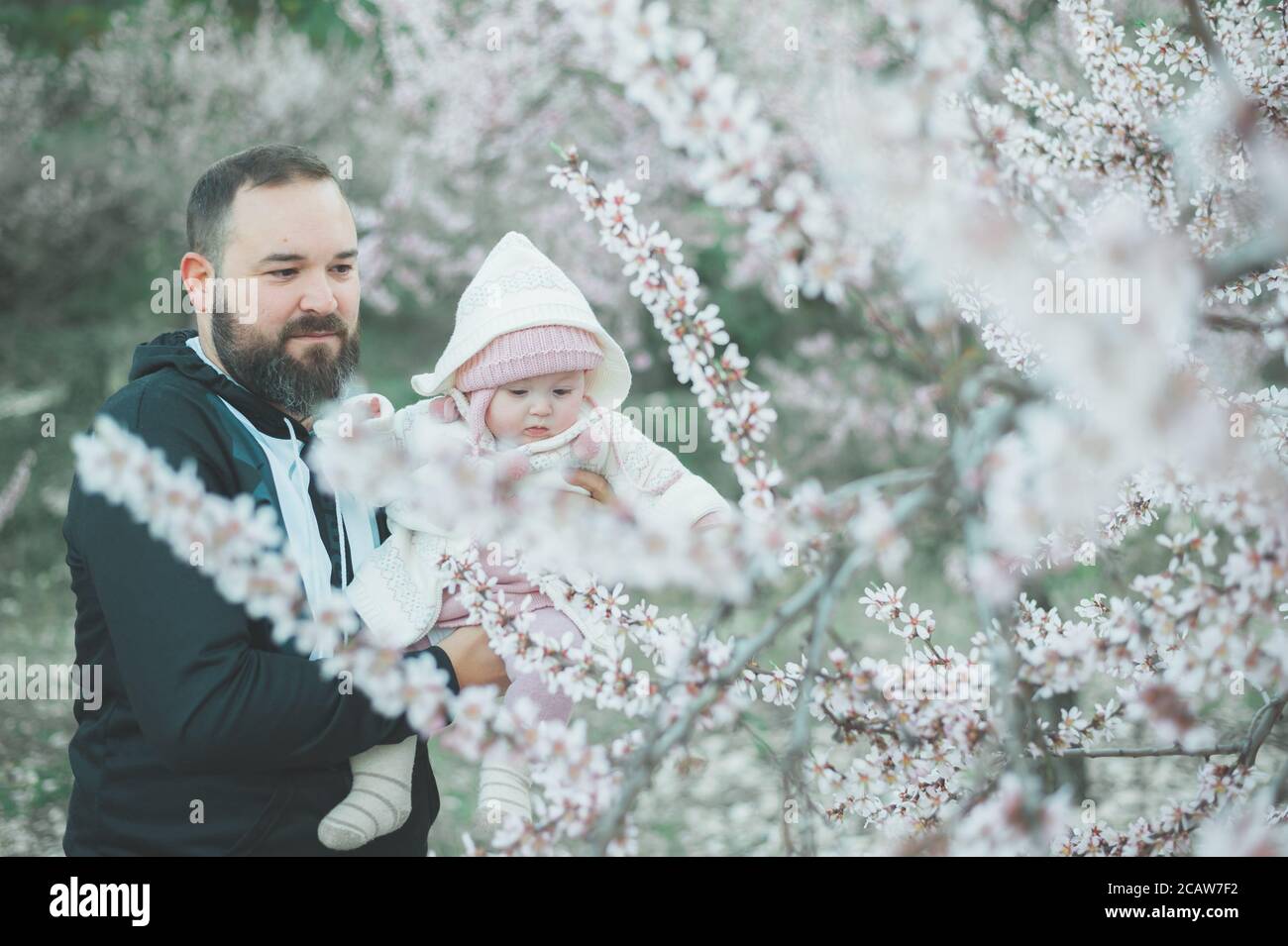 Dad and daughter enjoying spring time blossom trees Stock Photo - Alamy