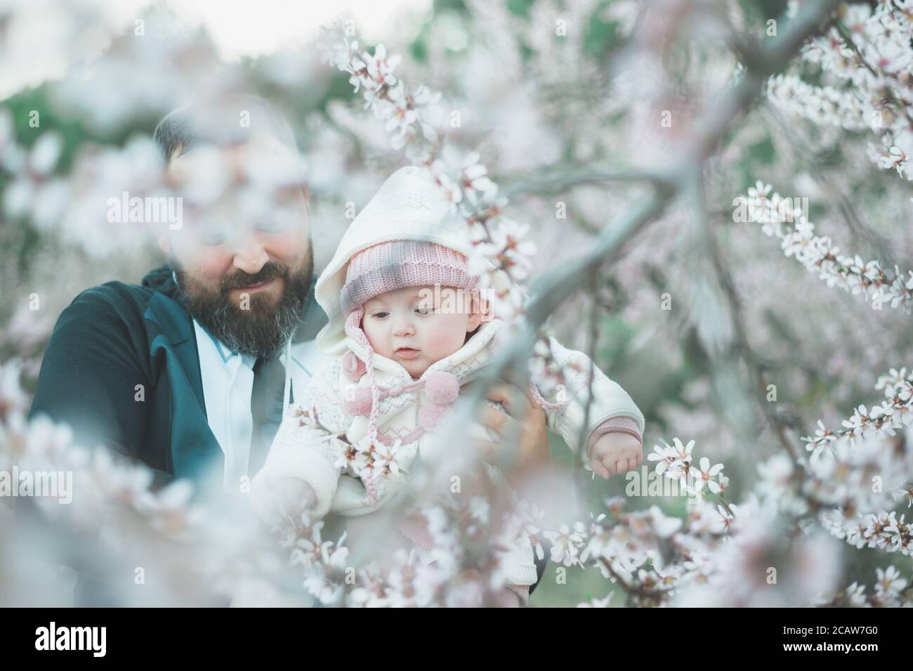 Dad and daughter enjoying spring time blossom trees Stock Photo - Alamy
