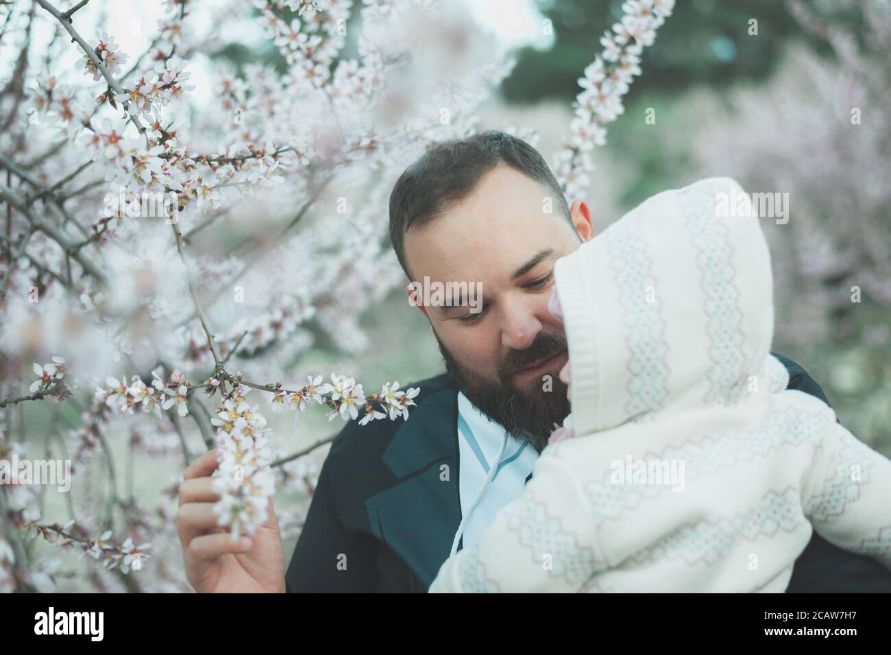 Dad and daughter enjoying spring time blossom trees Stock Photo - Alamy