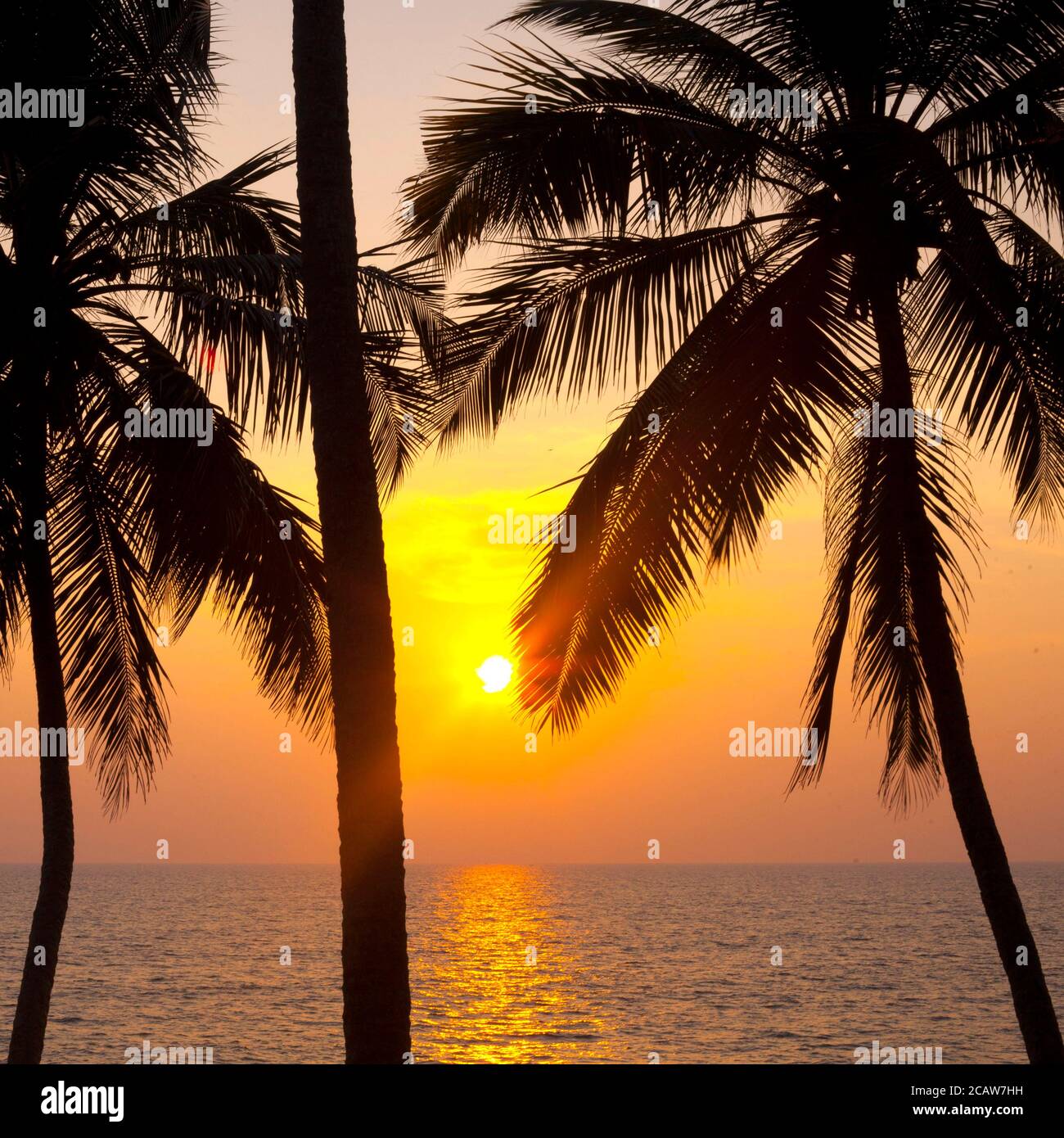 Sunset scene in goa hi-res stock photography and images - Alamy