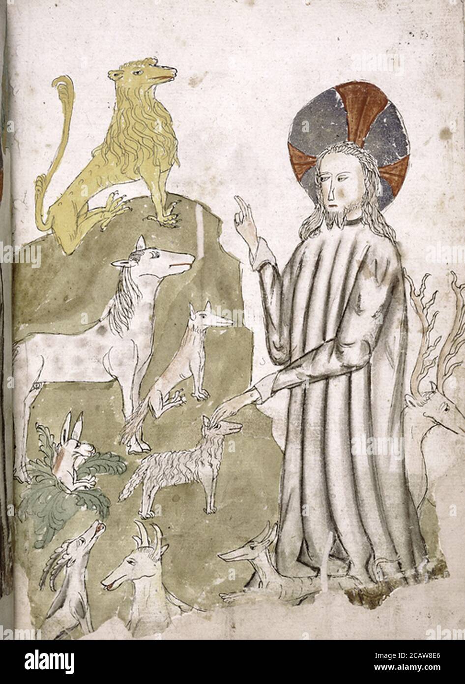 vintage animal illustration vintage classical artistic drawing Stock ...