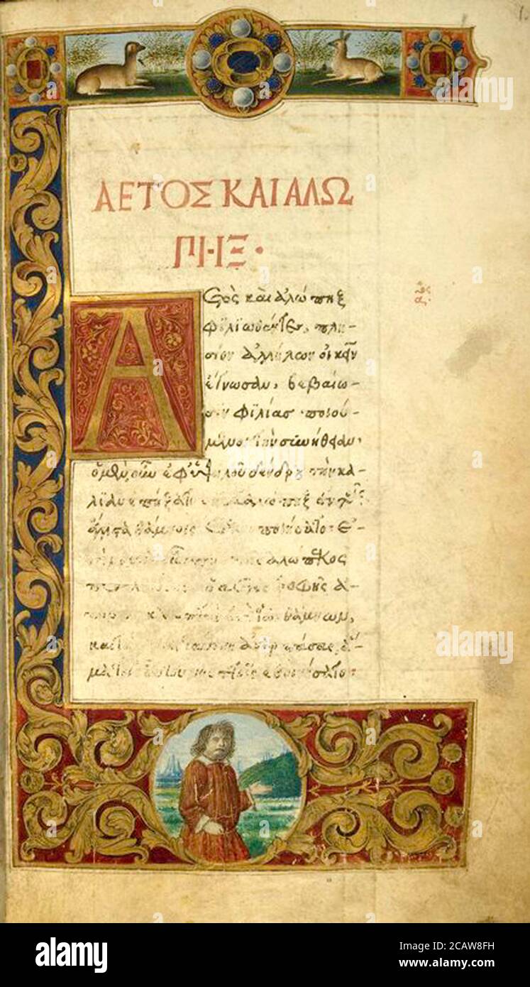 vintage animal illustration vintage classical artistic drawing Stock ...