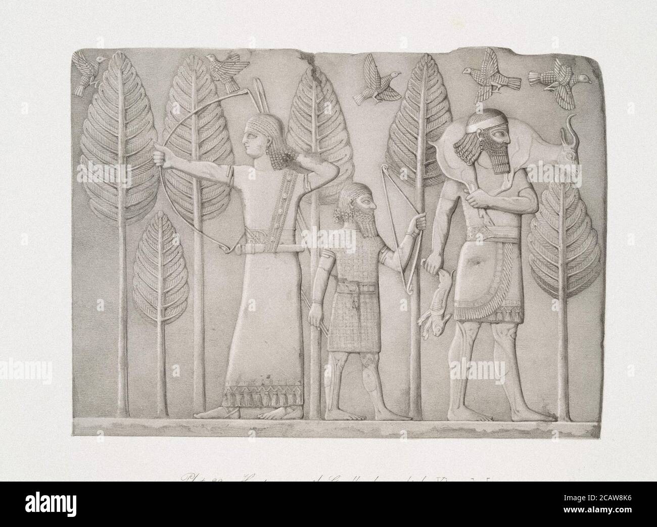 vintage animal illustration vintage classical artistic drawing Stock ...