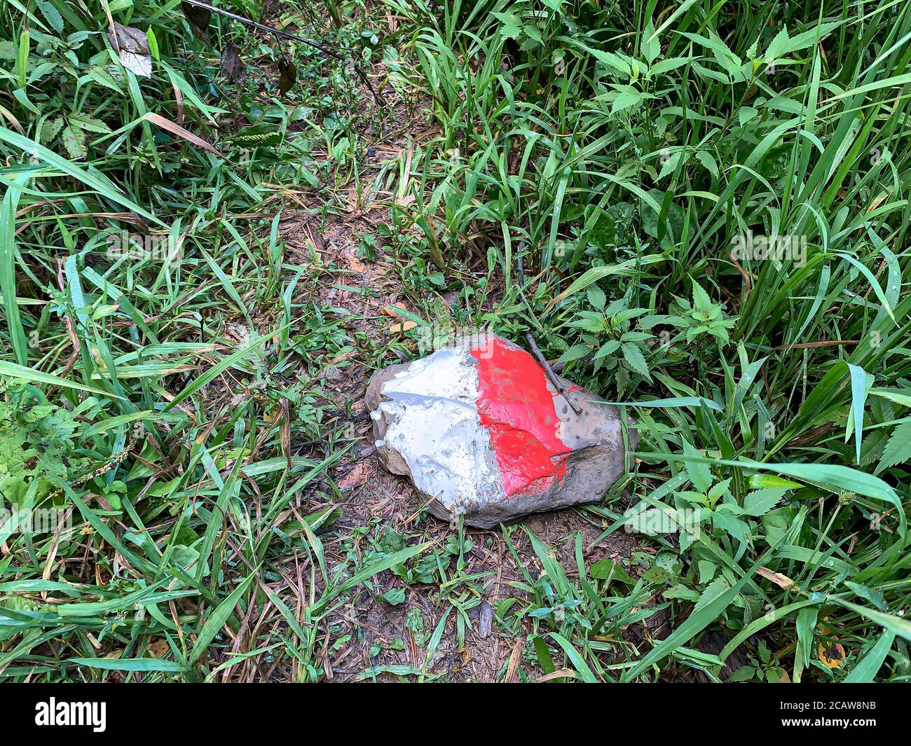 A stone painted in white and red paint marks the way on a trekking path ...