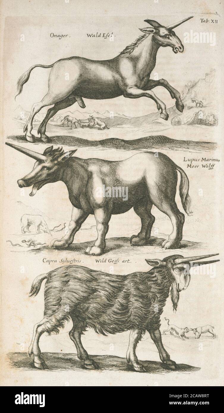 vintage animal illustration vintage classical artistic drawing Stock ...