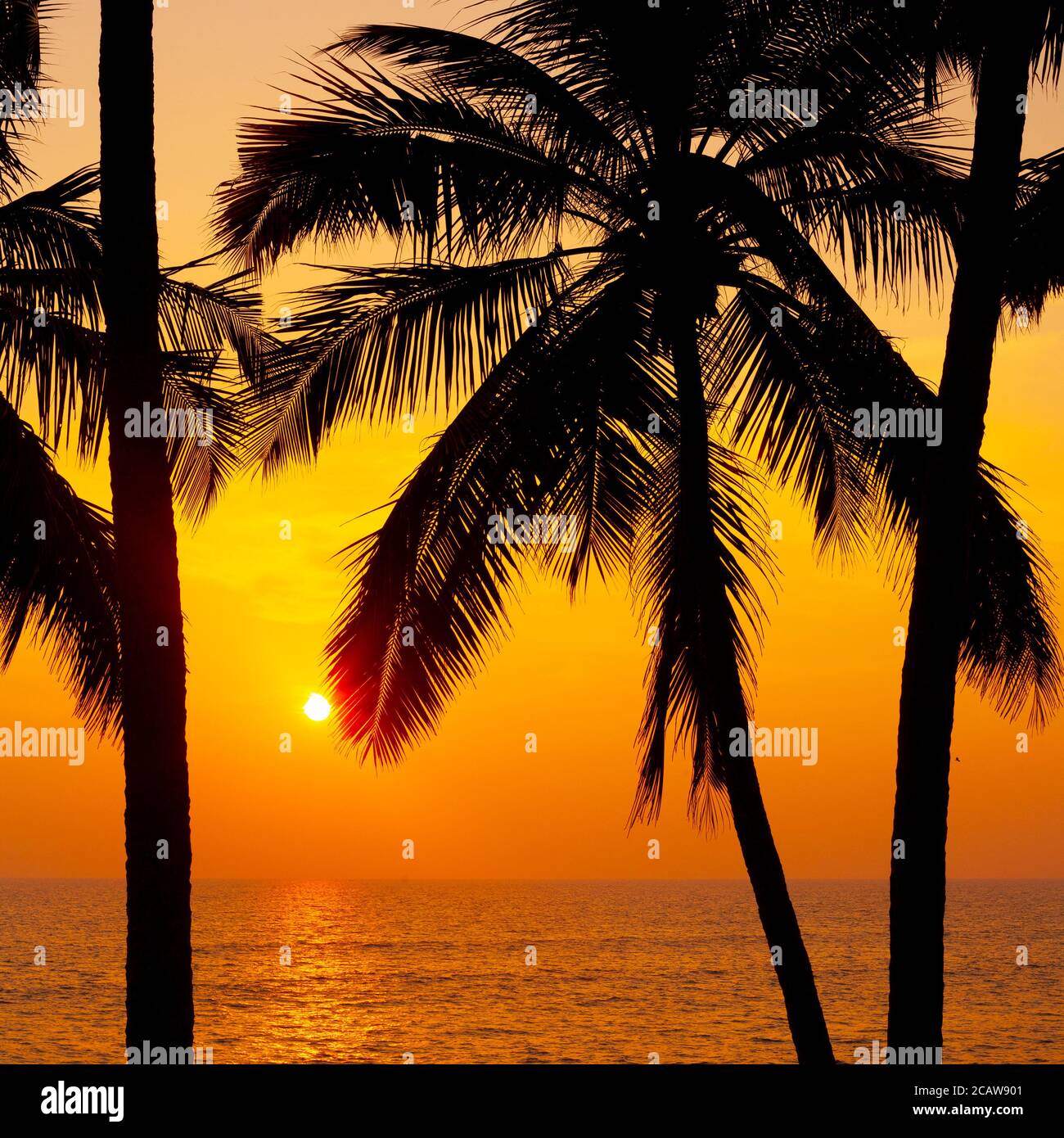 Varkala night kerala india hi-res stock photography and images - Alamy