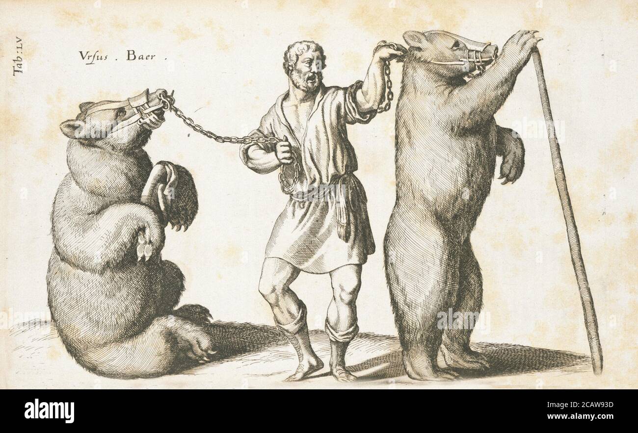 vintage animal illustration vintage classical artistic drawing Stock ...