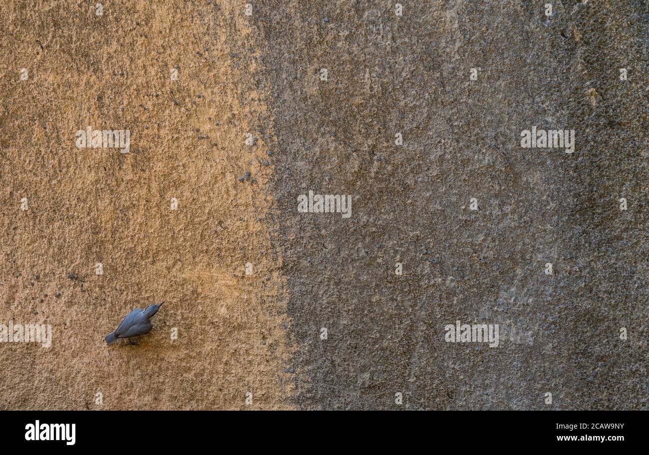 Gobustan Rock Art Cultural Landscape, World Heritage Site, Unesco ...