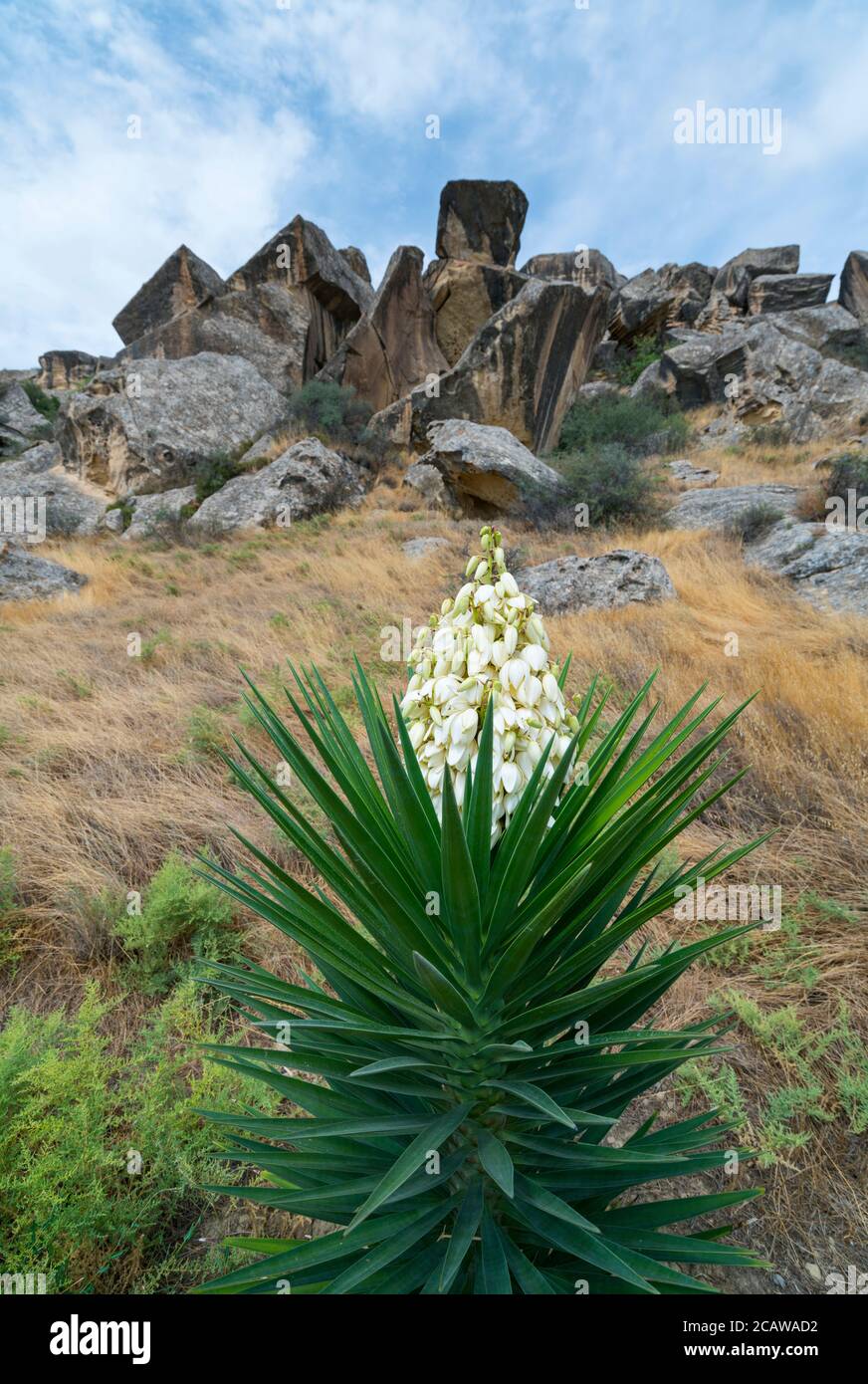 Gobustan Rock Art Cultural Landscape, World Heritage Site, Unesco ...