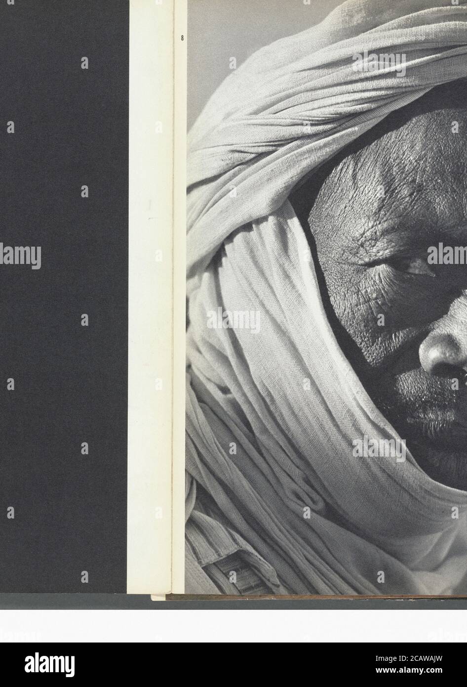 vintage animal illustration vintage classical artistic drawing Stock ...