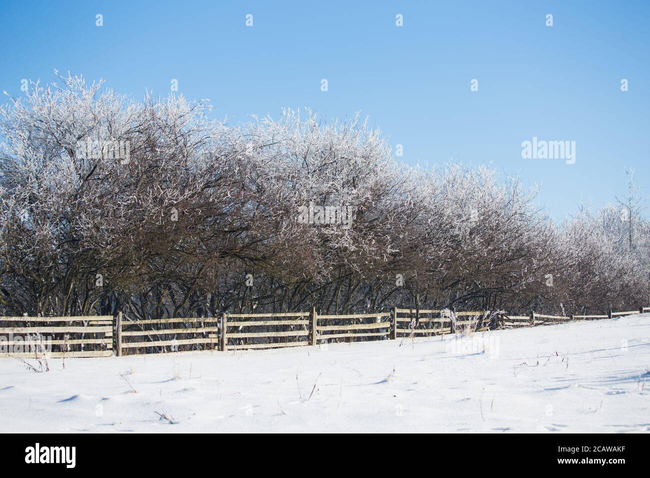 Winter landscape in dolnoslaskie region, Poland Stock Photo - Alamy