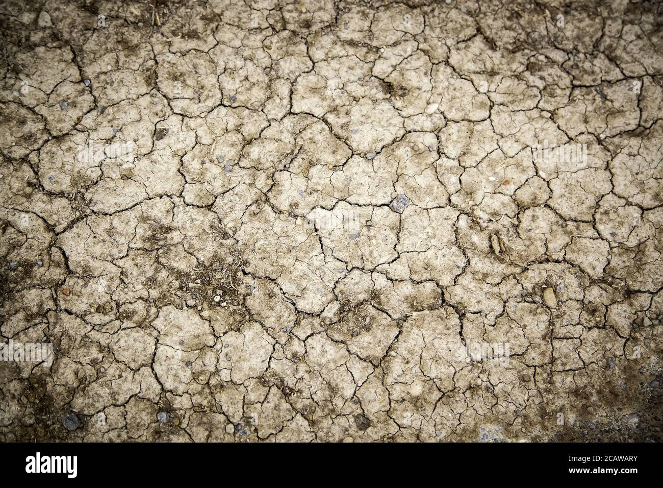 detail of climate change, destruction and heat, destruction of the ...