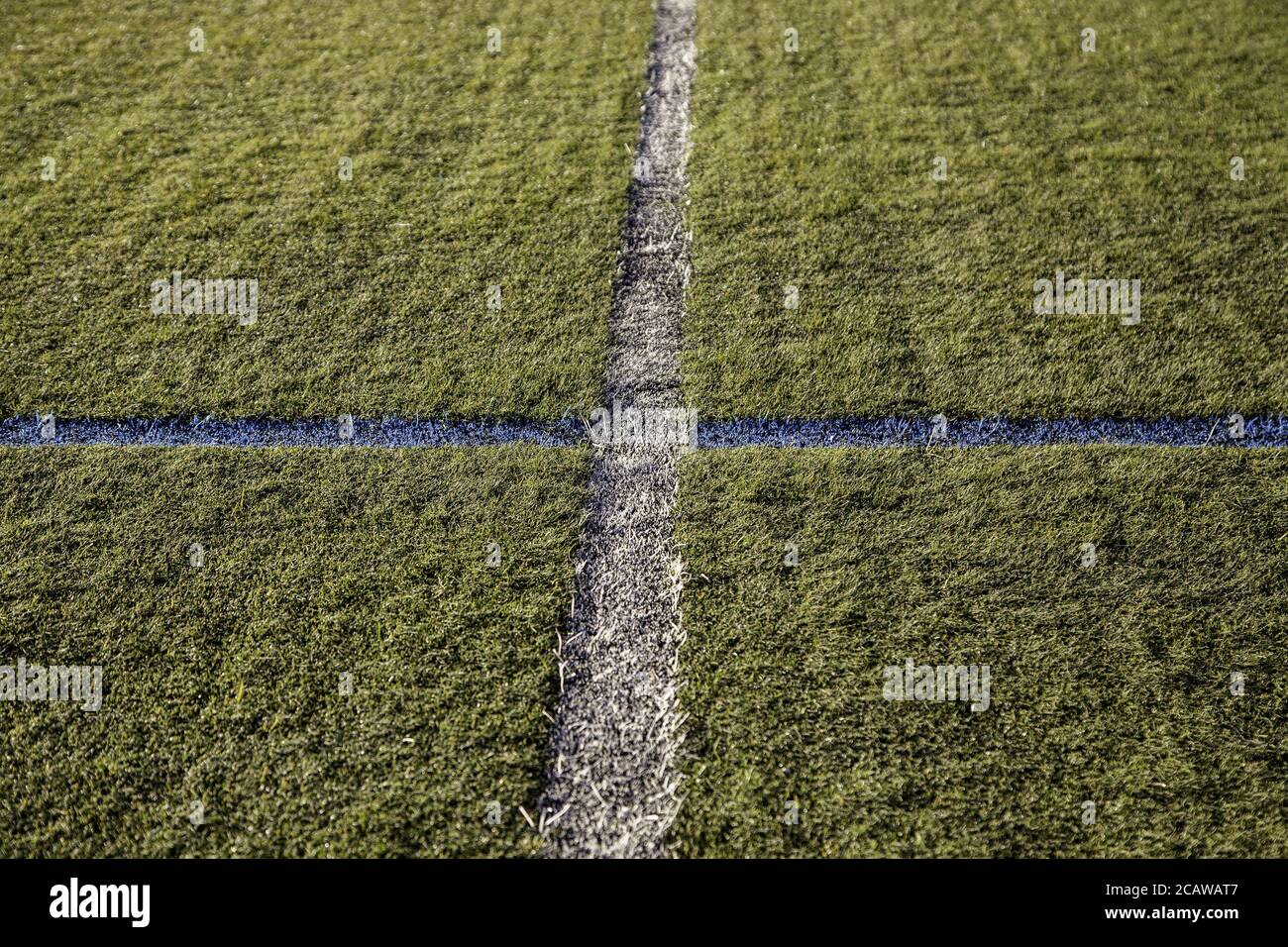 White lines on a soccer field, sport detail, professional competition ...