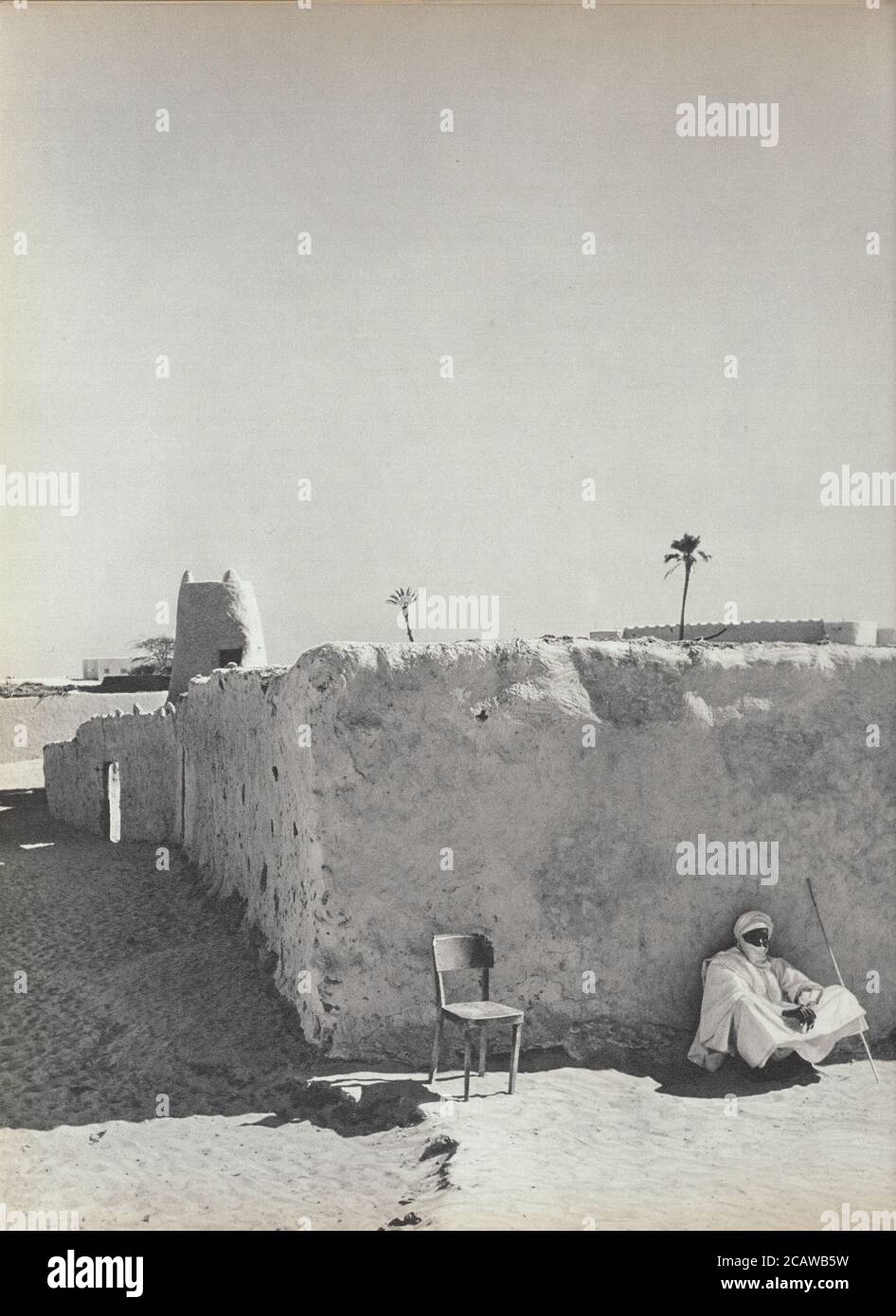 vintage animal illustration vintage classical artistic drawing Stock ...